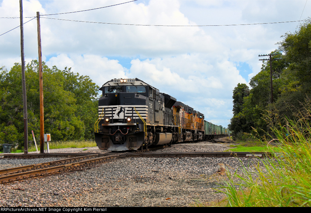 NS 7232 UP 5785 5705 Flatonia Crossing